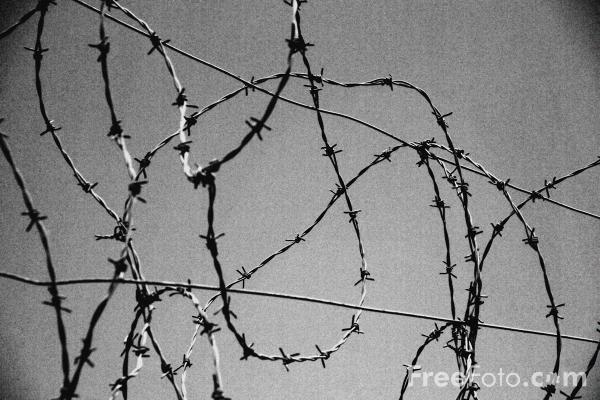 Weekly Prompt: Tracing Barbed Wire – Lantern Review Blog